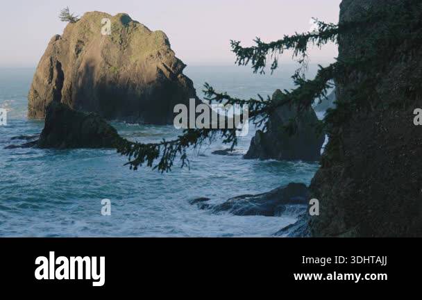 Rocky sea stack rises from Pacific Ocean with coastal trees in ...