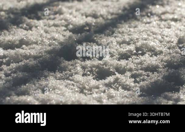 Close-up view of a snow-covered surface. Individual snow crystals are ...
