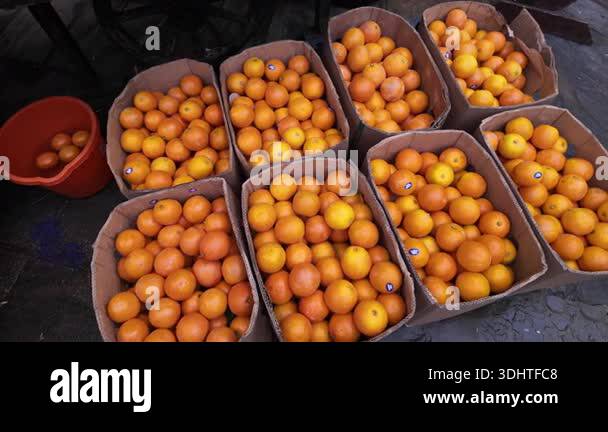 LONDON, UK - JANUARY 8, 2026 - Oranges filling cardboard boxes at a ...