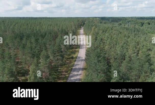 Aerial view of paved two-lane road cutting through a dense pine forest ...