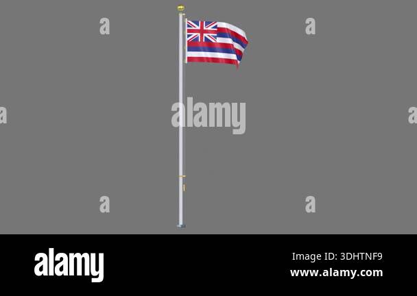 USA States hawaii Animated flag, High-resolution 3D render Video loop ...
