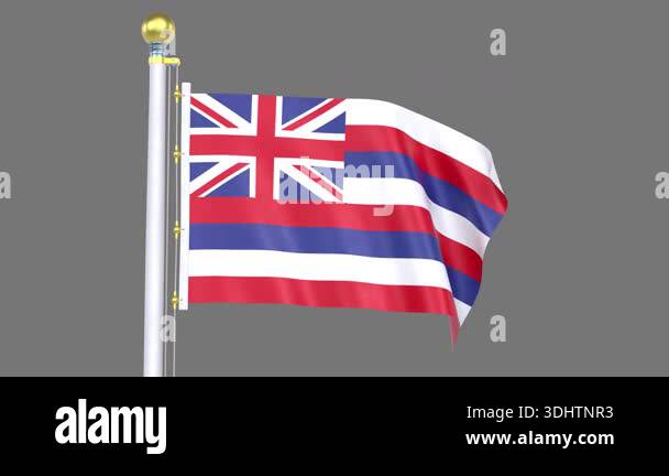 USA States hawaii Animated flag Closup, High-resolution 3D render Video ...