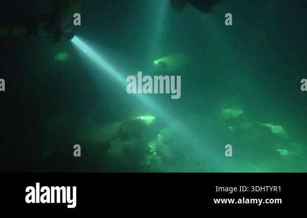 Deep underwater adventure with a diver using a torch to illuminate a ...