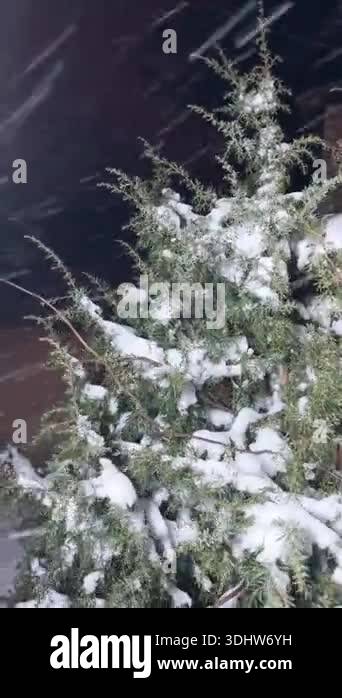 Blizzard against the background of the evening and night sky. The wind ...