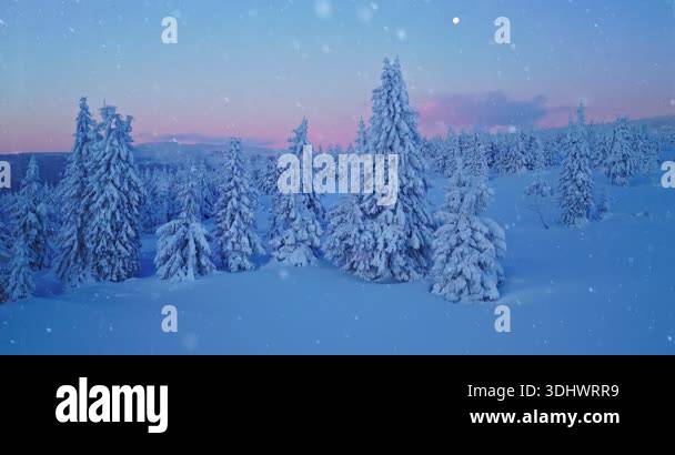 Snowflakes gently falling in slow motion create a peaceful and ...