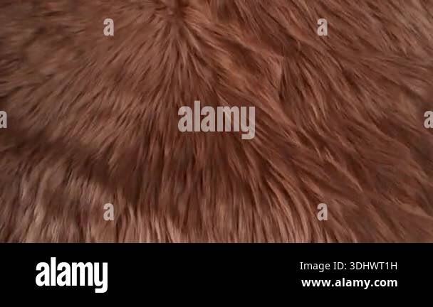 Waving Real Animal Fur Texture Background in Slow Motion, 1000fps ...