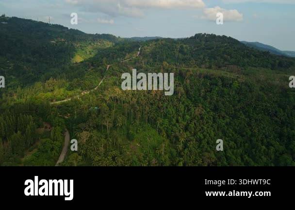 Aerial view of lush tropical hills and winding mountain road on Koh ...