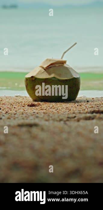 Fresh green coconut with straw on sandy tropical beach near calm sea ...
