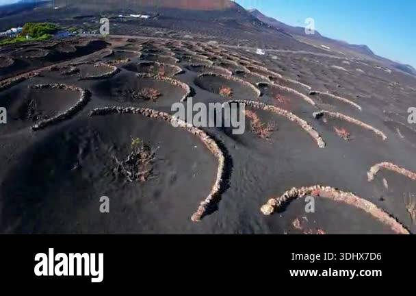 Aerial view of La Geria vineyards on Lanzarote near Timanfaya, moving ...