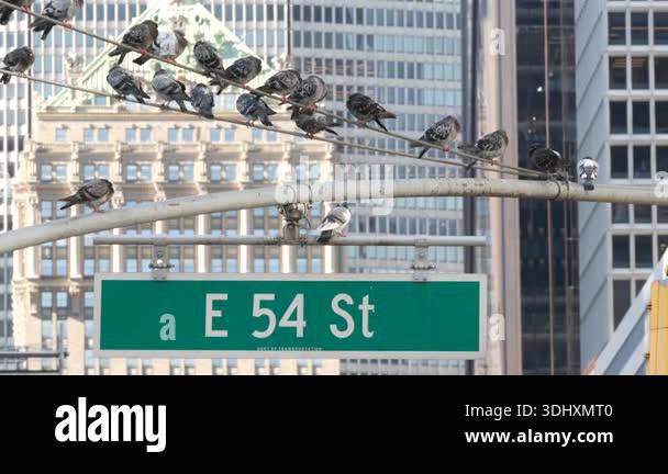 New York Park Avenue, 54 street sign in Manhattan Midtown, United ...