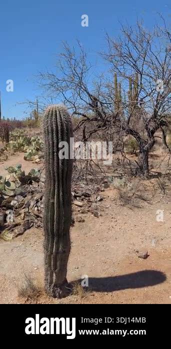 Mica view trail Stock Videos & Footage - HD and 4K Video Clips - Alamy