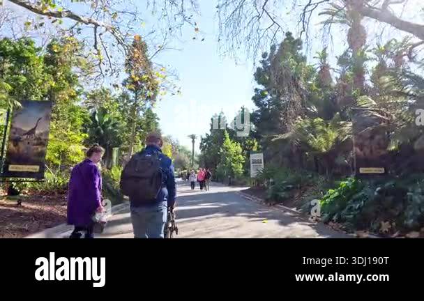Visitors walking along a scenic zoo path Stock Video Footage - Alamy