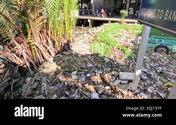 Progression of litter accumulation in a natural area Stock Video ...