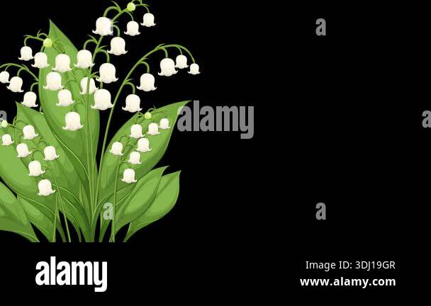 Animated growth of lily of the valley flowers with smooth transitions ...