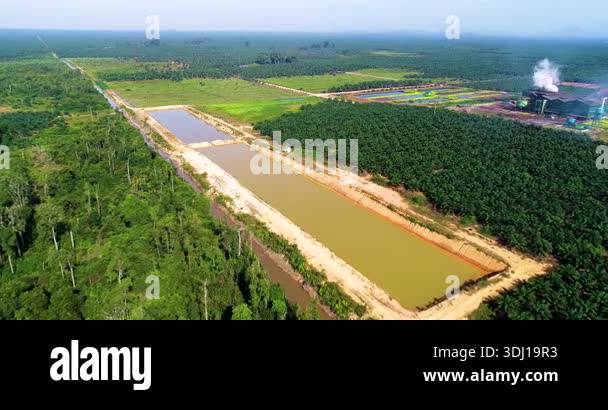 Palm Oil Water Management: Aerial Drone Flight Over Irrigation Pond ...