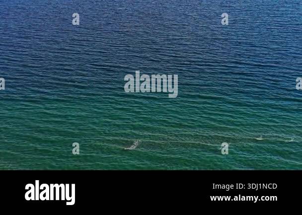 This aerial view captures the serene expanse of ocean waters ...