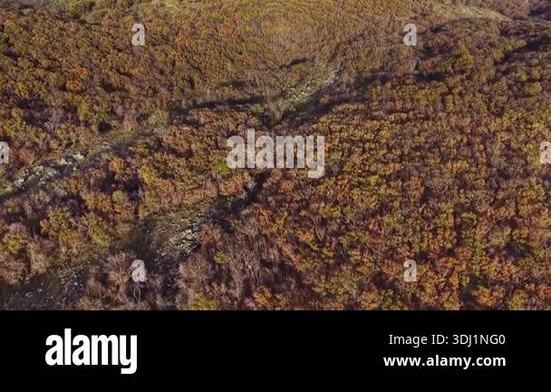 This aerial shot captures vibrant autumn colors across rolling hills ...