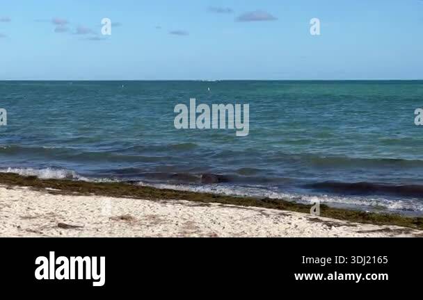 Bahia honda state park and beach Stock Videos & Footage - HD and 4K ...