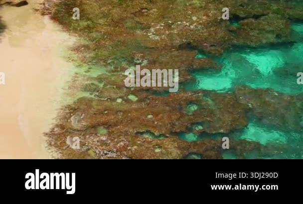 Tide pools formed in rocky Stock Videos & Footage - HD and 4K Video ...