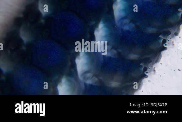 Ink splatter blur. Art fluid. Blue drop mixing with gray fluid on white ...