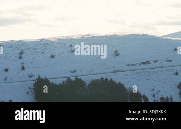 Blue Hour Snowy Slope With Pine Silhouettes And Cool Dusk Tones, Long ...