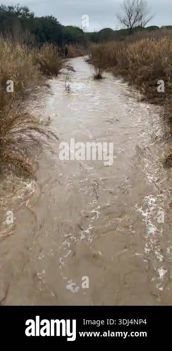 Swollen Stream After Heavy Rain Fast Flowing Water in Nature Stock ...