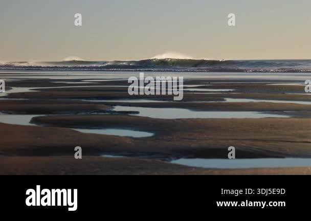 Empty Pacific shoreline captured at low tide with textured wet sand and ...