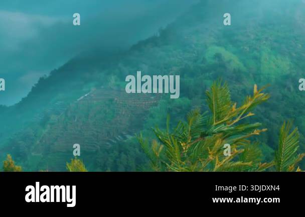 High-angle view of terraced farming fields on a steep tropical mountain ...