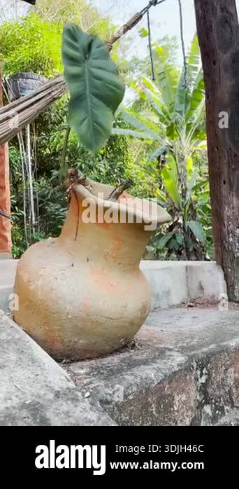 nature waterfalls cerrado of Gois Brazil ecology Stock Video Footage ...