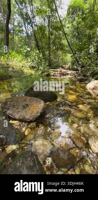 nature waterfalls cerrado of Gois Brazil ecology Stock Video Footage ...