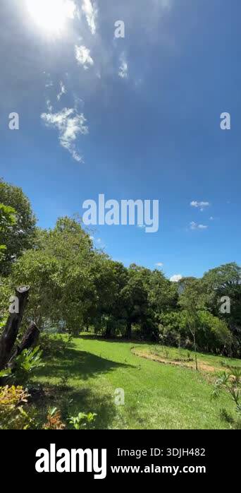 nature waterfalls cerrado of Gois Brazil ecology Stock Video Footage ...