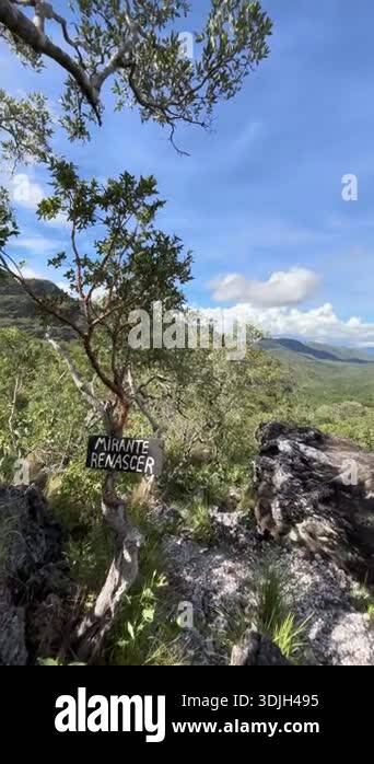 nature waterfalls cerrado of Gois Brazil ecology Stock Video Footage ...