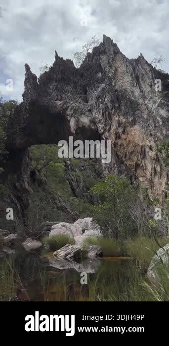 nature waterfalls cerrado of Gois Brazil ecology Stock Video Footage ...