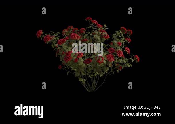 Shrub blowing in the wind Loop Animation. Wind blows the Shrub Plant ...