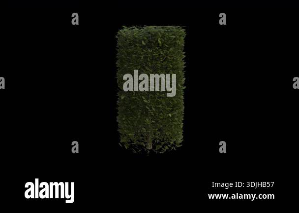 Shrub blowing in the wind Loop Animation. Wind blows the Shrub Plant ...