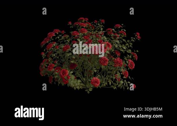 Shrub blowing in the wind Loop Animation. Wind blows the Shrub Plant ...