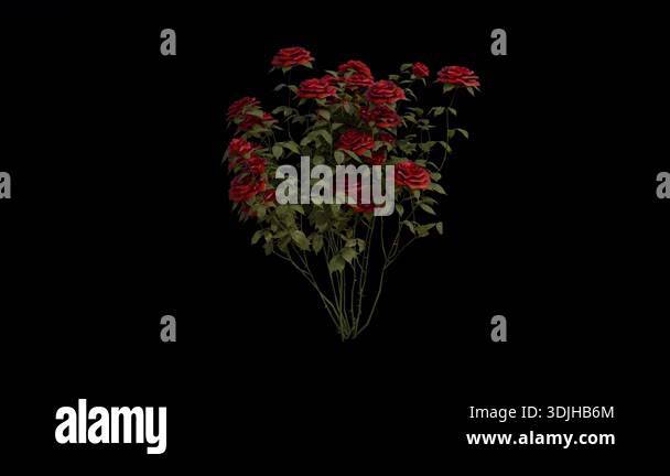 Shrub blowing in the wind Loop Animation. Wind blows the Shrub Plant ...