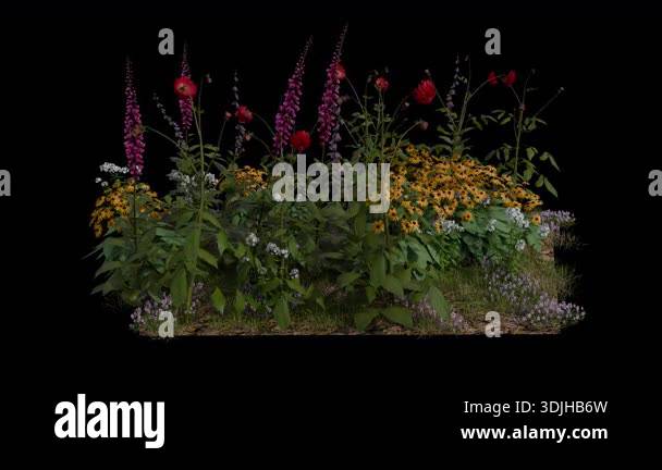 Flower Field blowing in the wind Loop Animation. Wind blows the Flowers ...