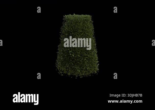 Shrub blowing in the wind Loop Animation. Wind blows the Shrub Plant ...