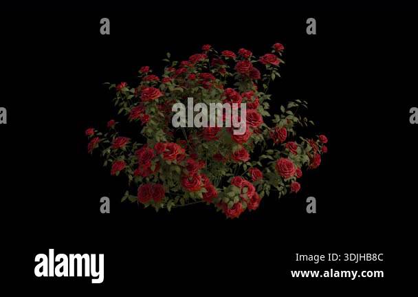 Shrub blowing in the wind Loop Animation. Wind blows the Shrub Plant ...