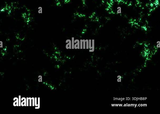 Abstract Loop Animation. Seamless Background Animation. Loop Animation ...