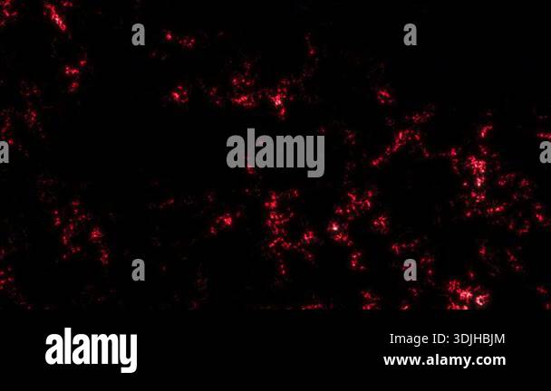 Abstract Loop Animation. Seamless Background Animation. Loop Animation ...