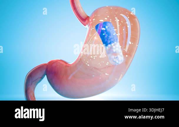 Capsule pill inside human stomach showing digestion process, medicine ...