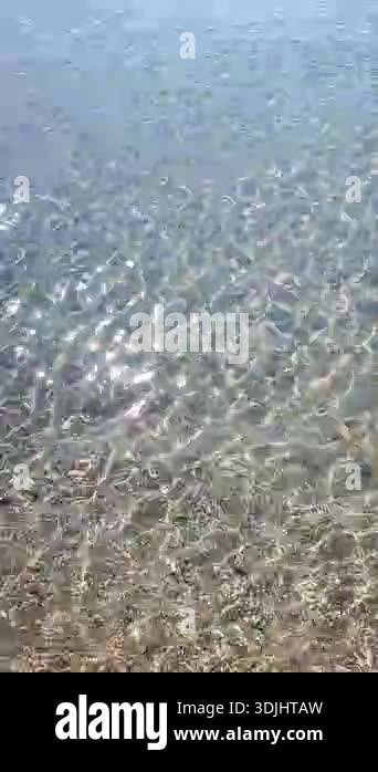 Clean transparent water on shallow sandy seashore with shells with ...