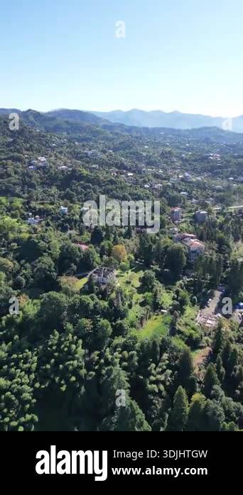 Lush green botanical garden in Batumi. Vertical 4K drone footage shows ...