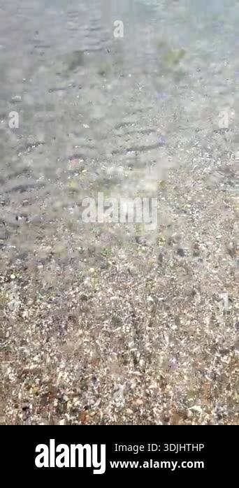 Clean transparent water on shallow sandy seashore with shells with ...
