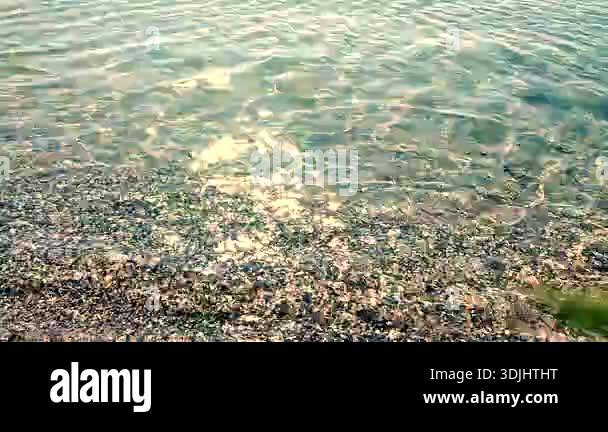 Clean transparent water on shallow sandy seashore with shells with ...
