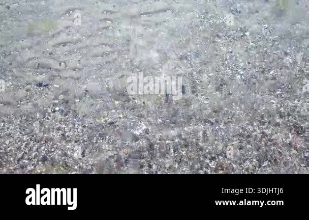Clean transparent water on shallow sandy seashore with shells with ...