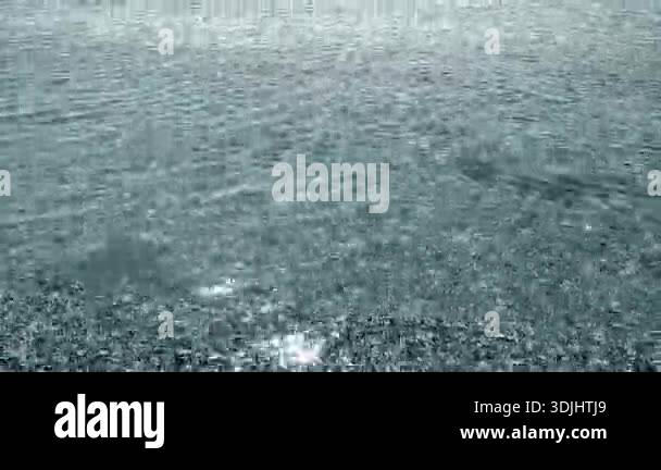 Clean transparent water on shallow sandy seashore with shells with ...