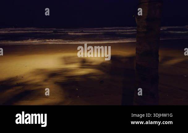 Palm Trunk beside Illuminated Night Shore with Waves Rolling under Warm ...